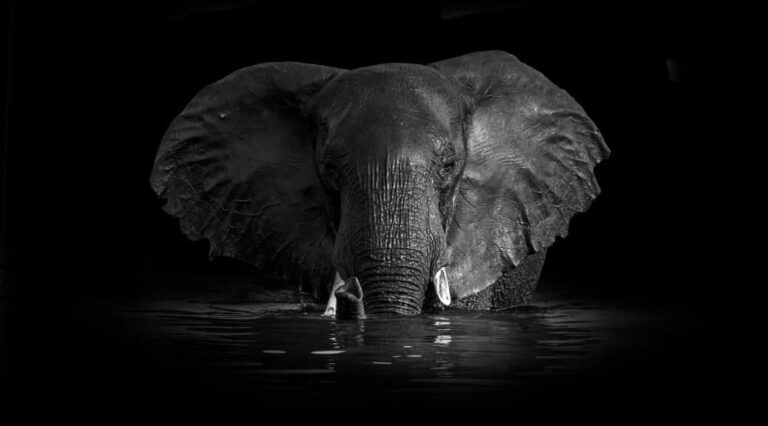 Postgresql 16 Released New Features List Scalegrid